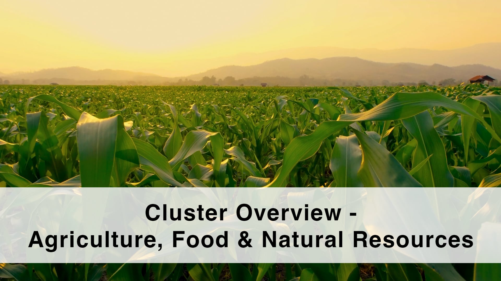 Agriculture Food And Natural Resources