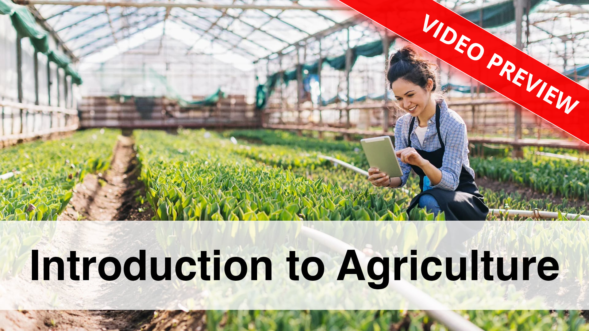 What Is Introduction Of Agriculture